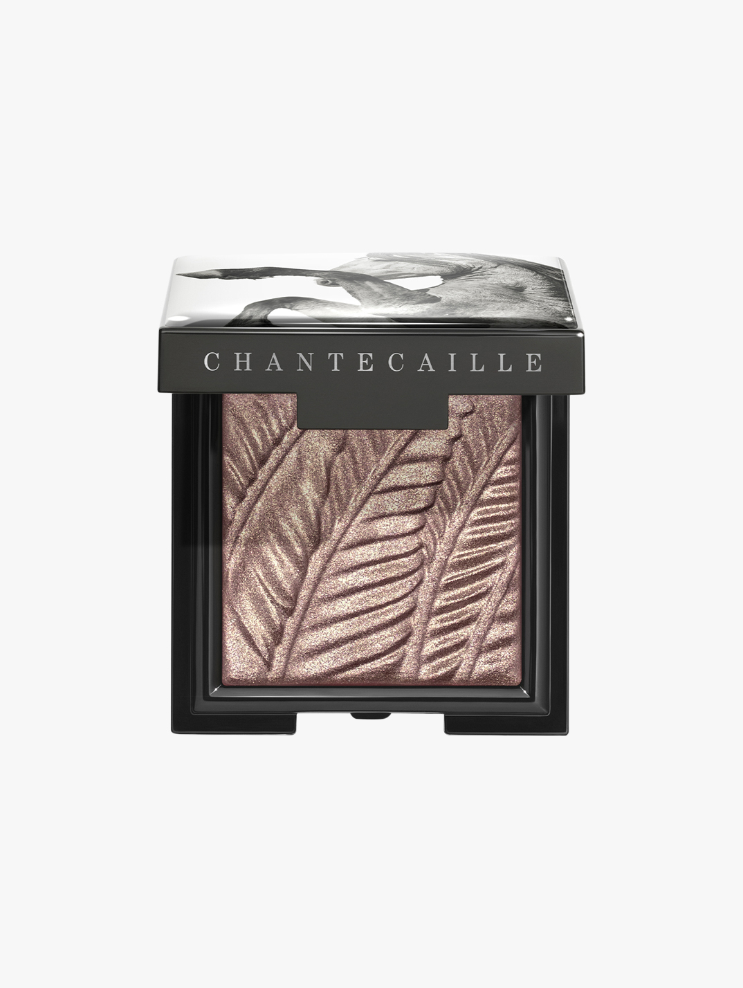 Chantecaille Wild Mustang Collection Luminescent Eye Shade Pinto | MECCA